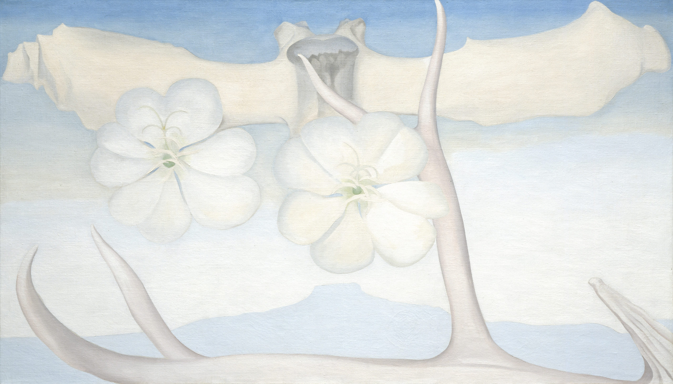 Spotlight on Spring - The Georgia O'Keeffe Museum