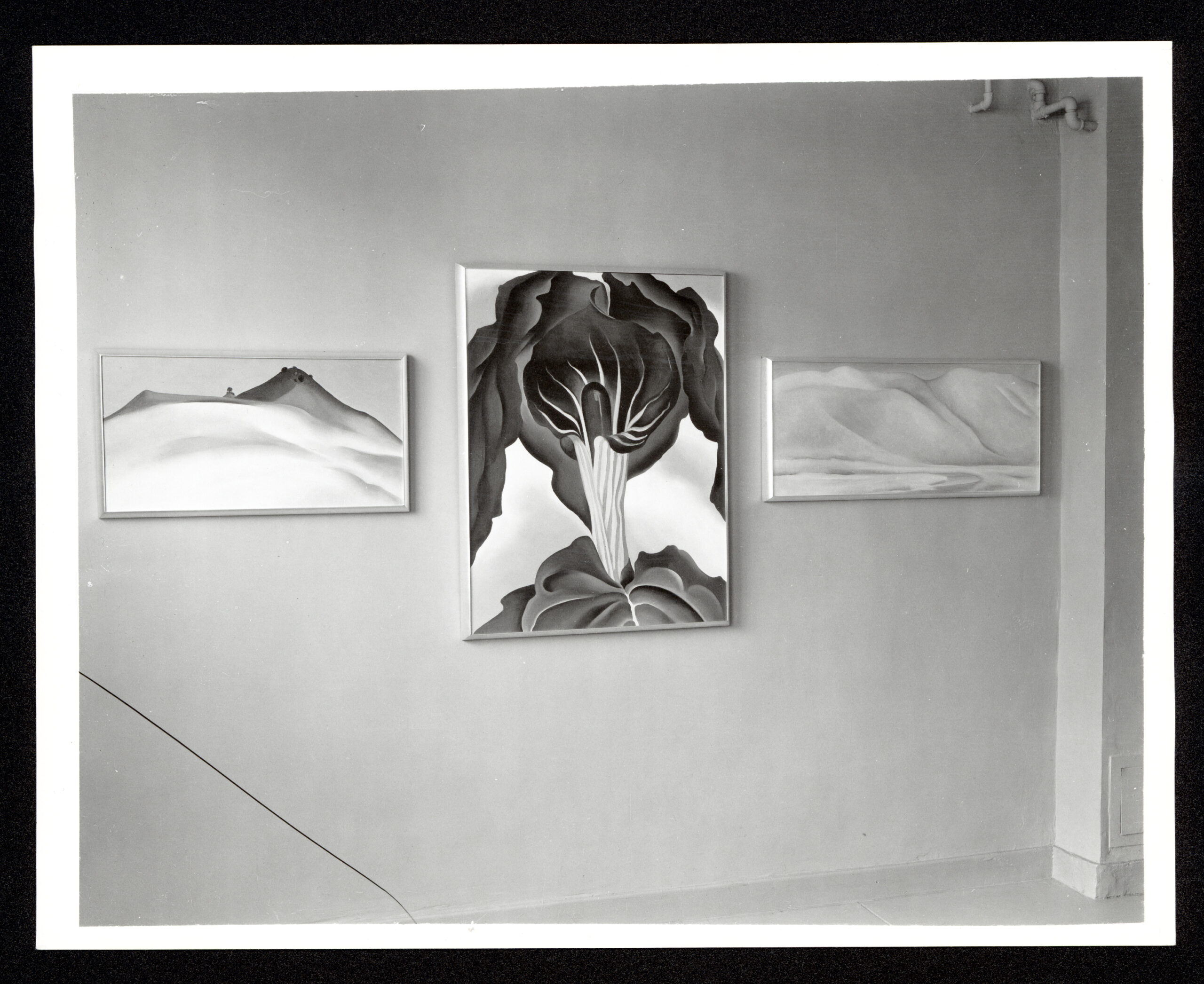 Examining New Dimensions through the Retrospective - The Georgia O ...