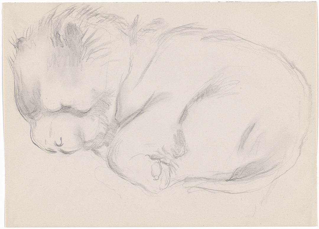 Online Class: Animal Watercolors - The Georgia O'Keeffe Museum