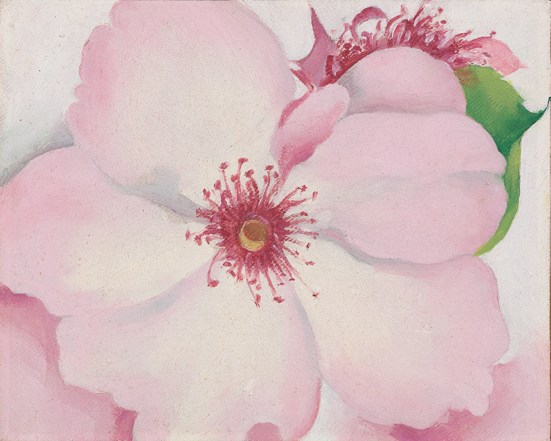 Online Class: Summertime Flower Close-ups in Watercolor - The Georgia O ...