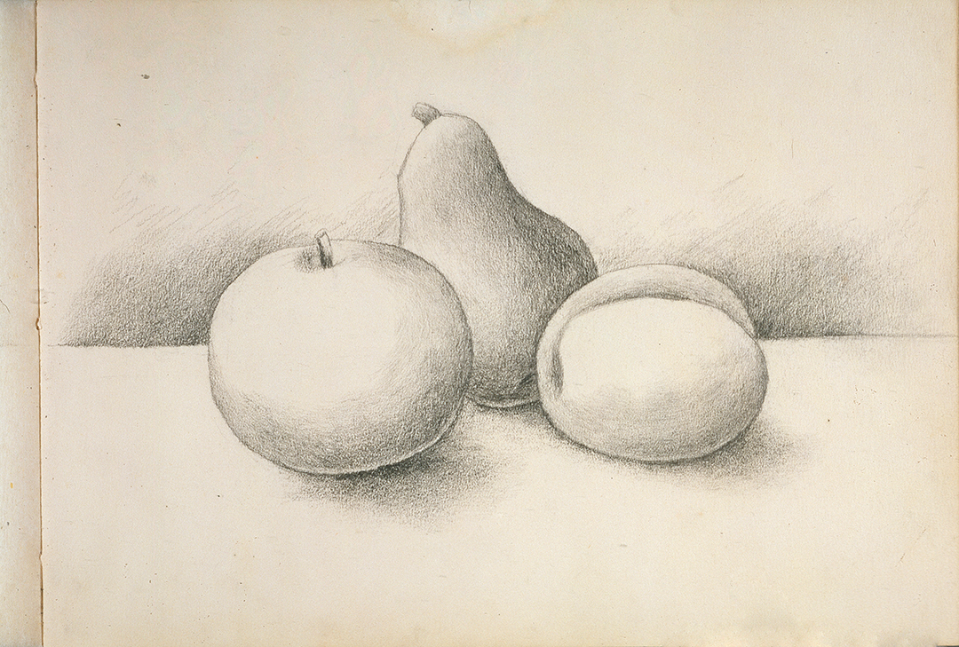 Online Class: Observational Drawing–Summertime Still-Life - The Georgia ...