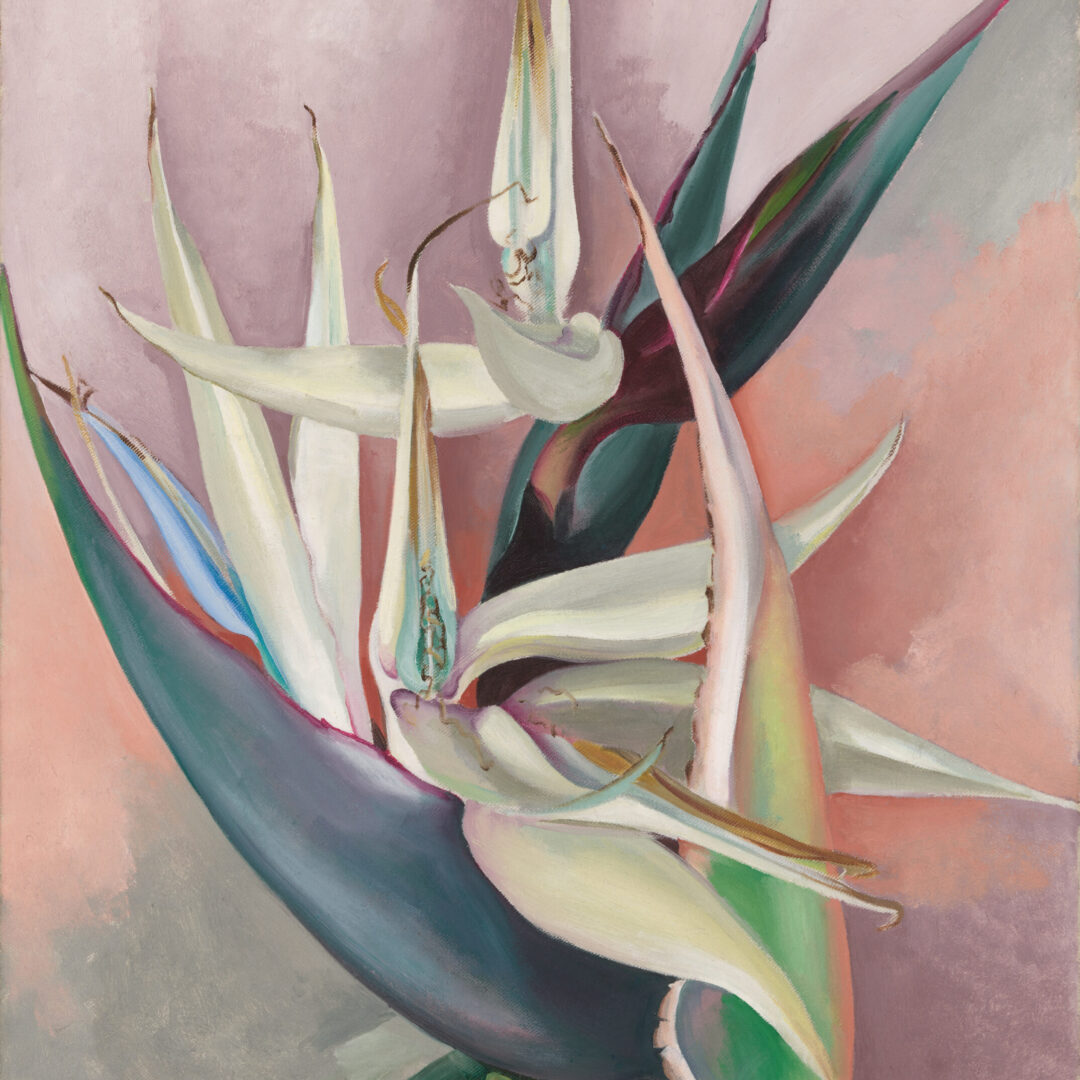 Blog - The Georgia O'Keeffe Museum