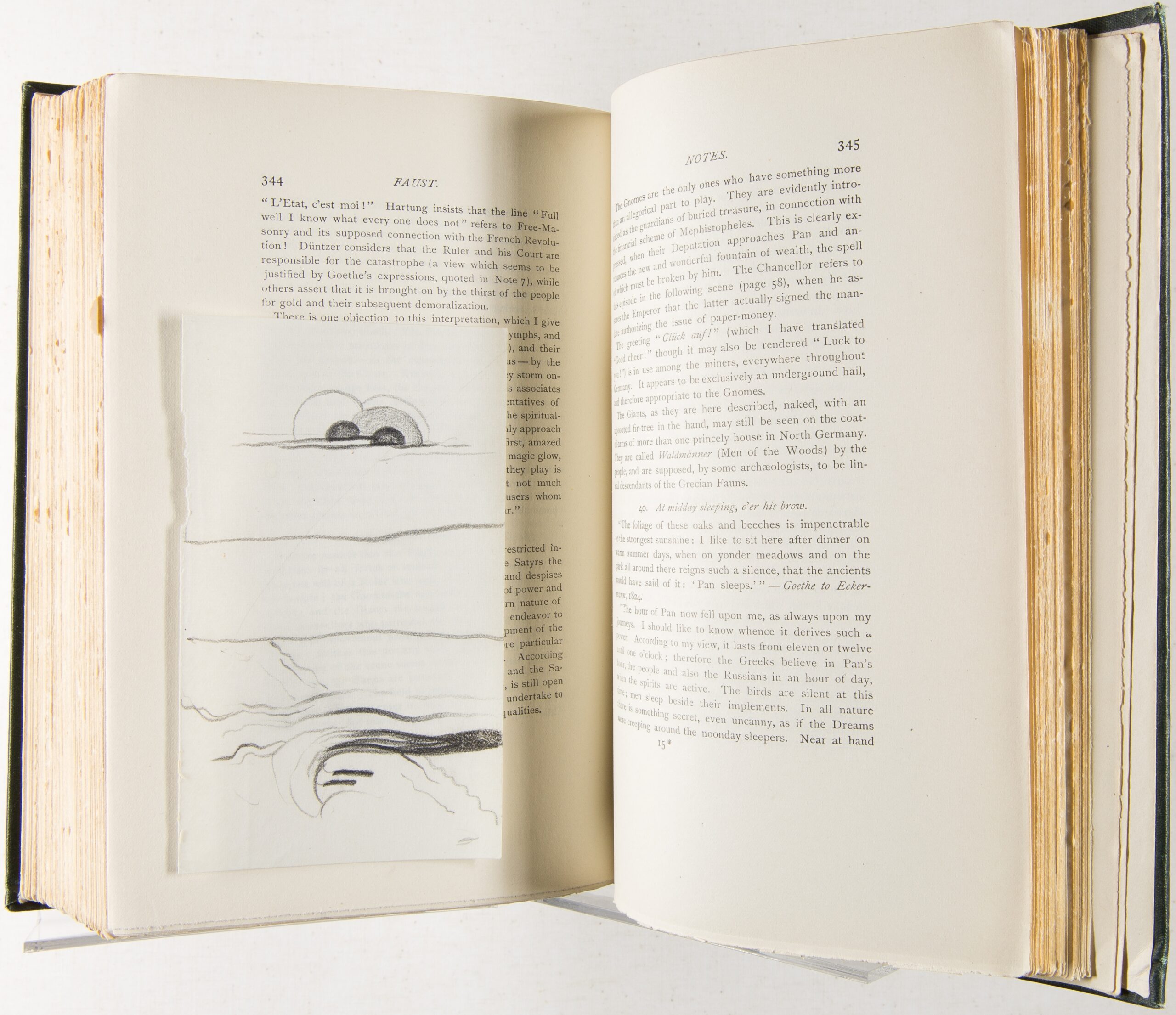 It's a Sketch! - The Georgia O'Keeffe Museum