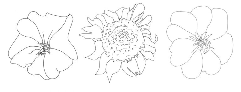 Color Me O'Keeffe! - The Georgia O'Keeffe Museum