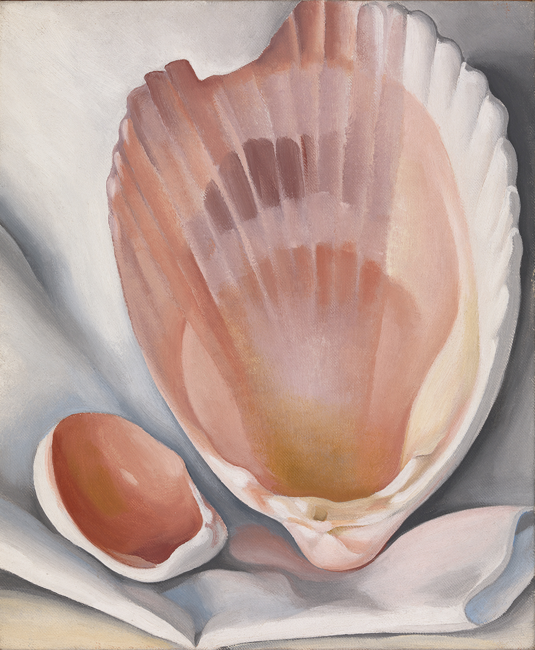 Online Class: Shells & Pebbles—Conté Drawing on Colored Paper - The ...