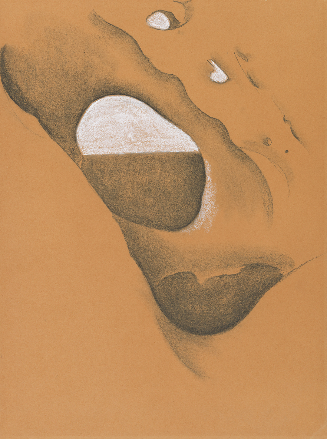 Online Class: Charcoal & Conté Drawing on Dark-Colored Paper - The ...