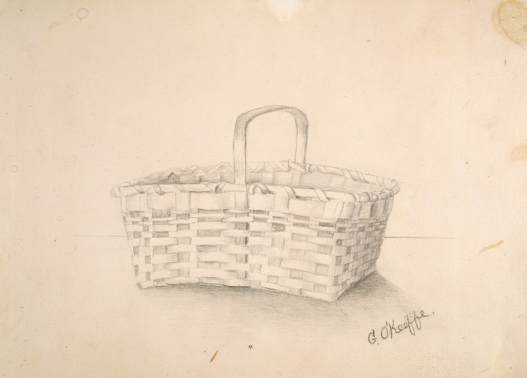 Online Class: Observational Nature Drawing: Texture Study - The Georgia ...