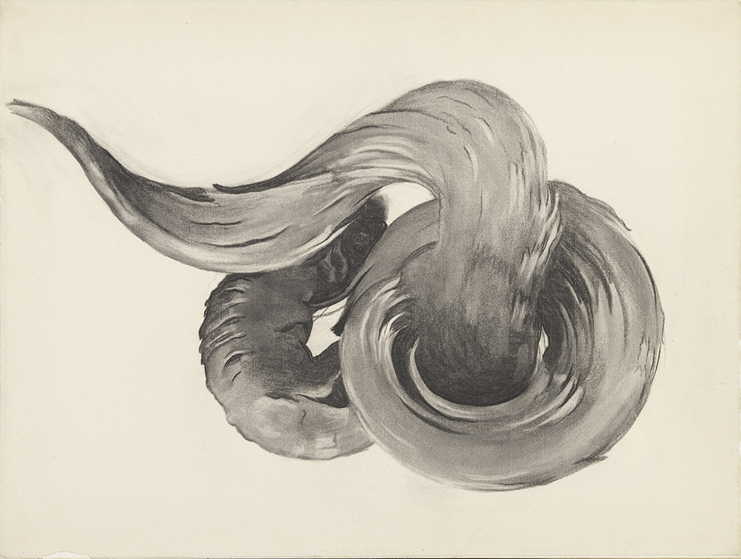 Online Class: Southwest Nature Drawing - The Georgia O'Keeffe Museum