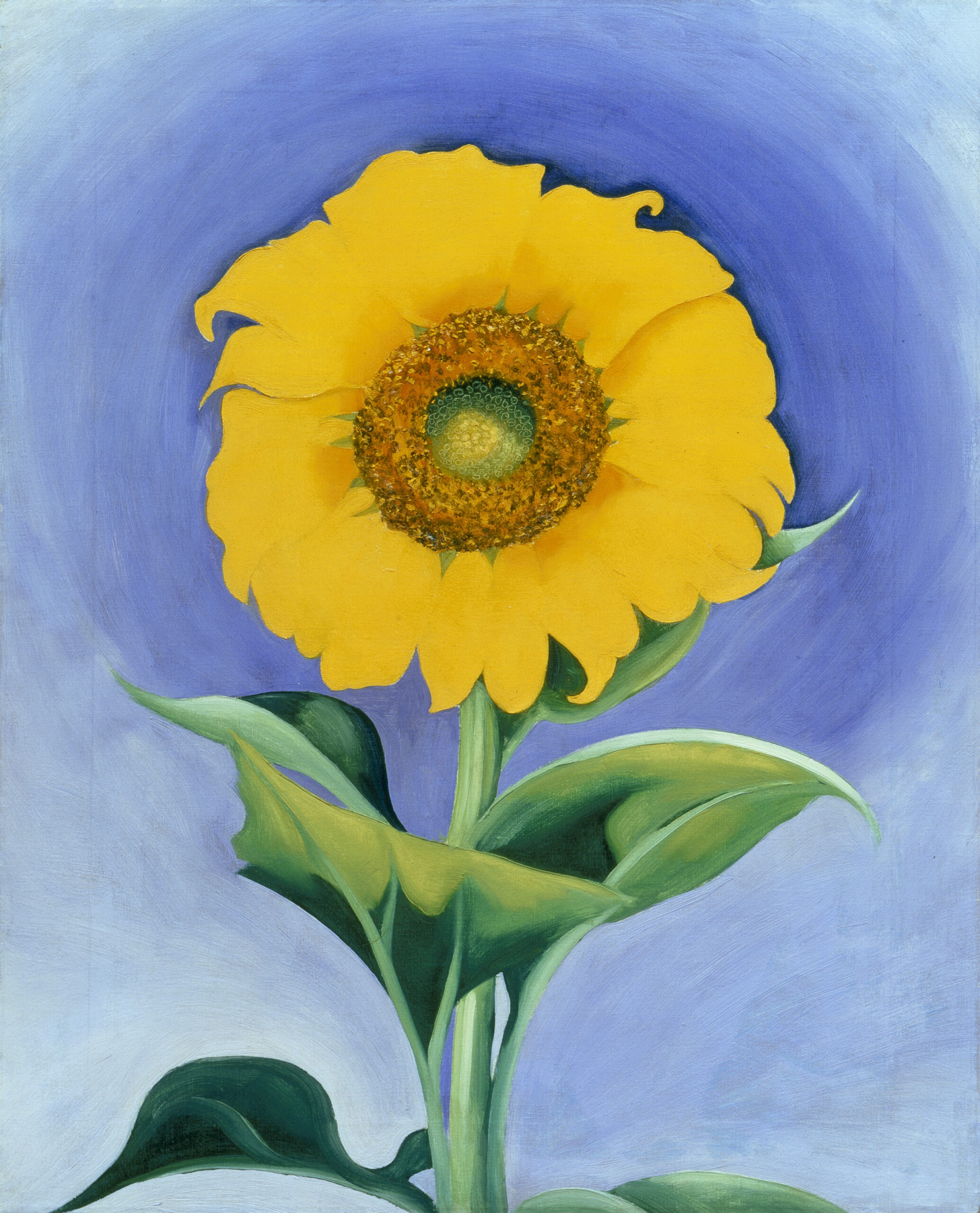 Online Class: Sunflowers in Pastels - The Georgia O'Keeffe Museum