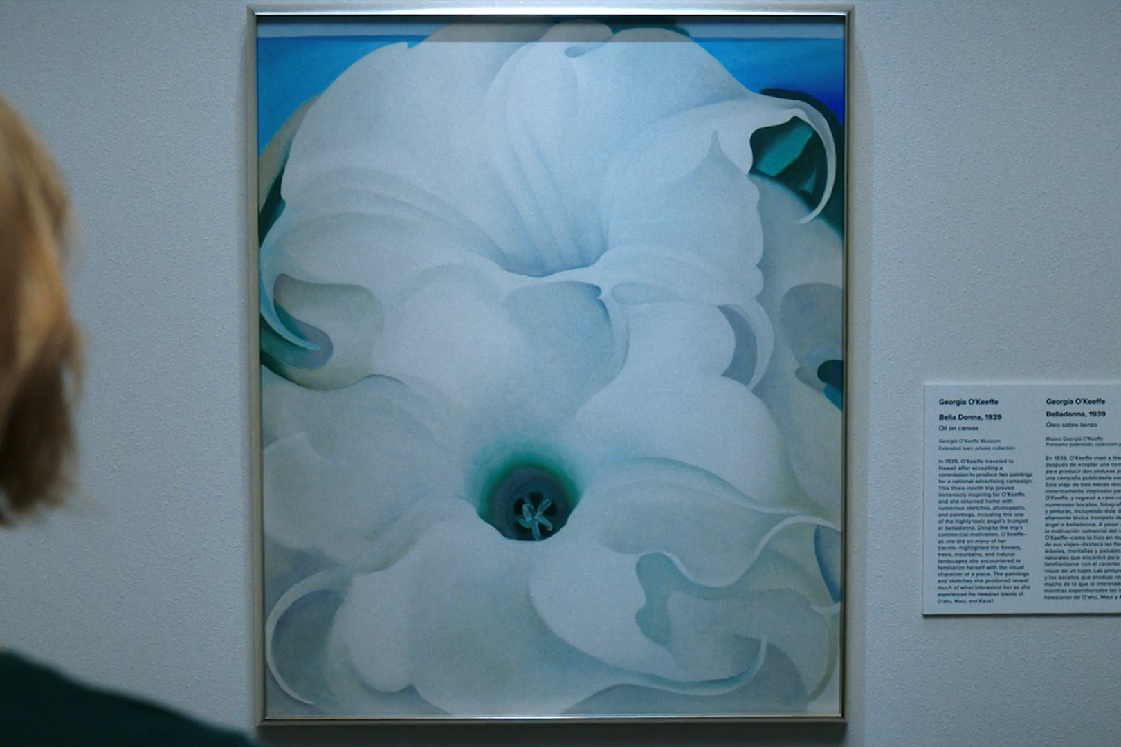 From Canvas to Camera - The Georgia O'Keeffe Museum