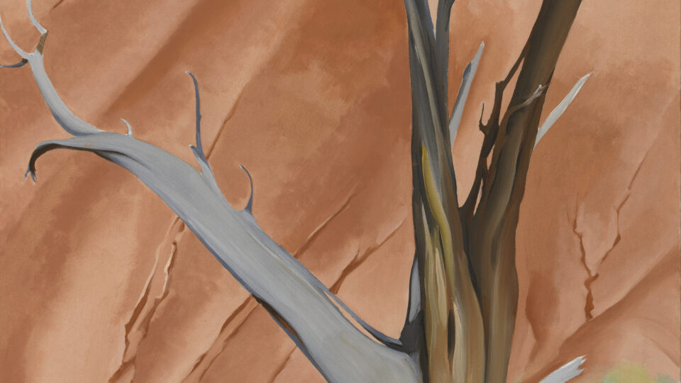 Rooted in Place - The Georgia O'Keeffe Museum