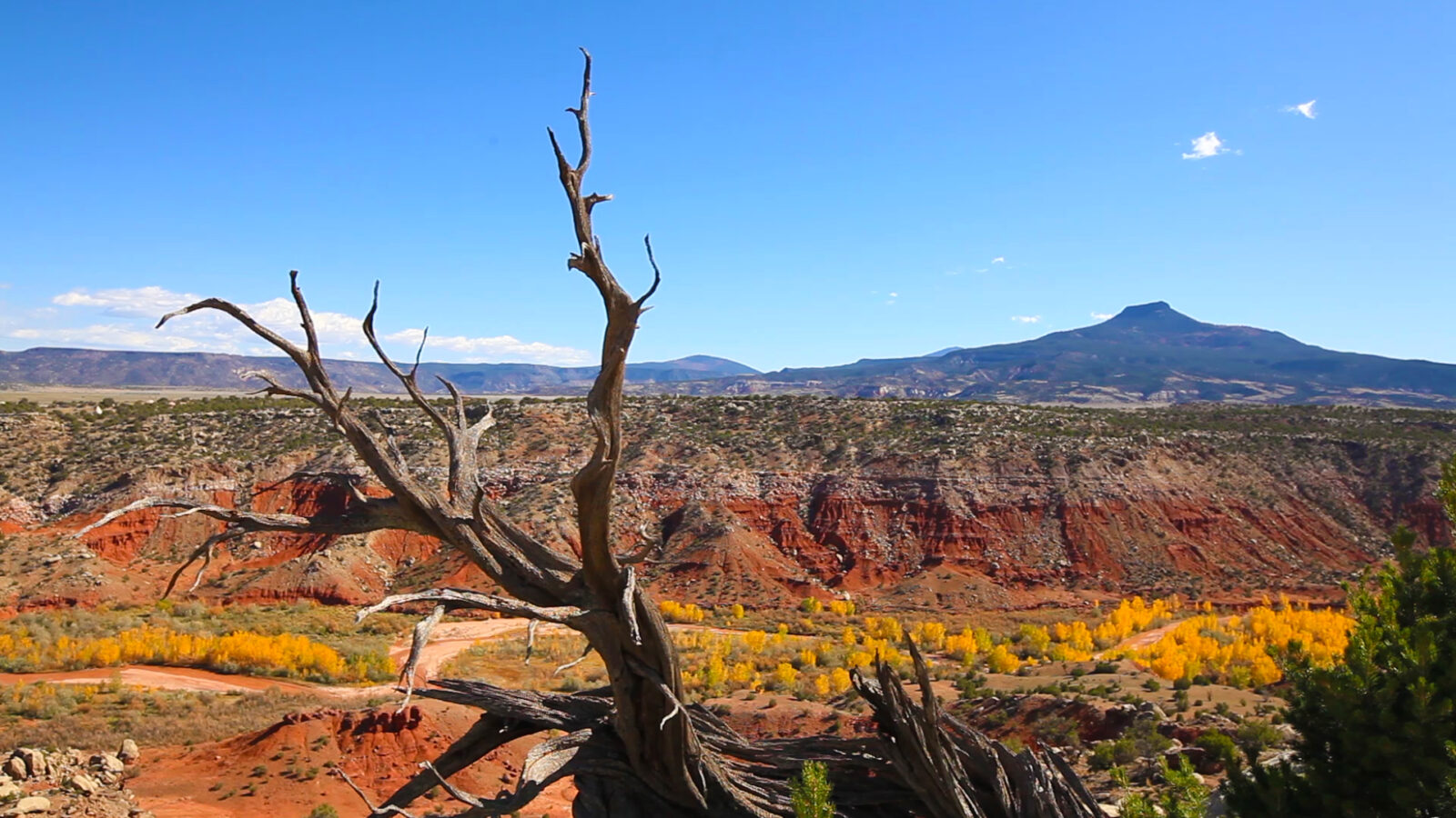 Georgia O’Keeffe and Ghost Ranch - The Georgia O'Keeffe Museum
