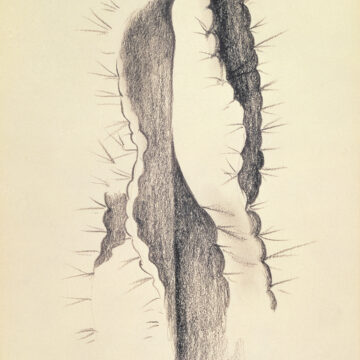 Sunday Funday with Mora Elementary! - The Georgia O'Keeffe Museum